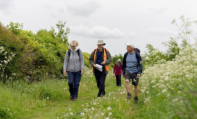 National Forest Celebrates 15th Year of Annual Walking Festivals ...