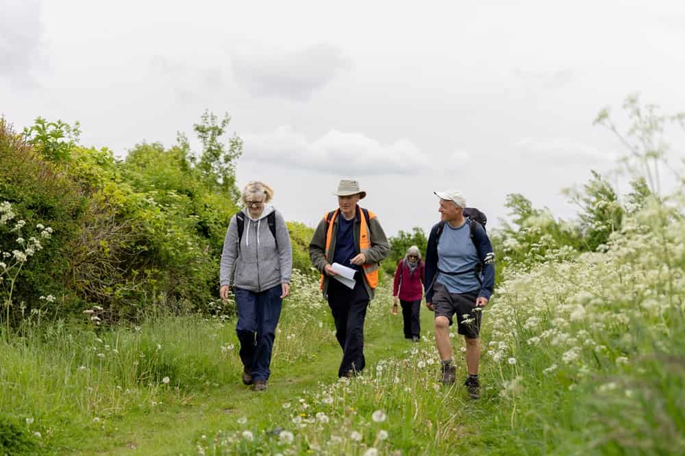 National Forest Celebrates 15th Year of Annual Walking Festivals ...