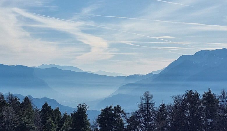 Spring Project vote now open | Outdoor Insight